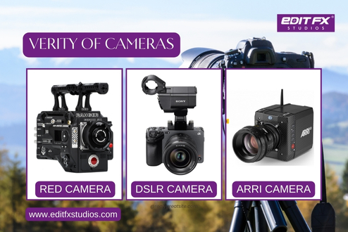 Which camera models are ideal for capturing cinematic shots in low ...